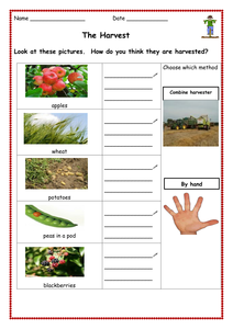 Celebrations, Harvesting the Crops and Harvest Festivals ...