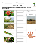 Celebrations, Harvesting the Crops and Harvest Festivals ...