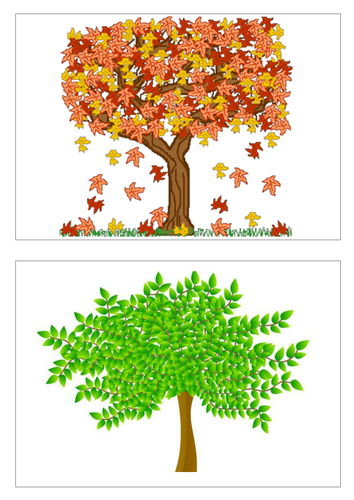 FRENCH - AUTUMN - L'automne - Worsheets | Teaching Resources