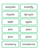 The Very Hungry Caterpillar - Complete Resource Pack! | Teaching Resources
