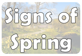 Y1 Science topic - Seasons - Spring topic powerpoint, display and ...