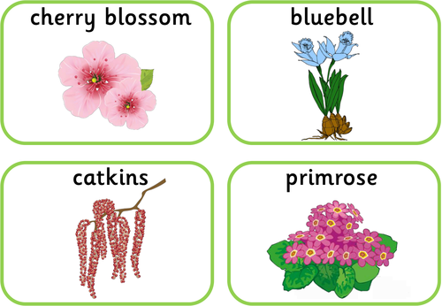 Y1 Science topic - Seasons - Spring topic powerpoint, display and ...