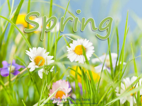 Y1 Science topic - Seasons - Spring topic powerpoint, display and ...