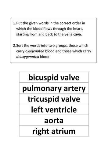 Blood flow, Circulation, Heart, Artery, Vein sequencing Card sort ...