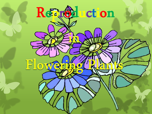 Spring Fling-Reproduction in Flowering Plants | Teaching Resources