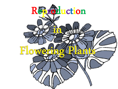 Spring Fling-Reproduction in Flowering Plants | Teaching Resources