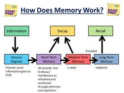 GCSE Exam Technique - How Memory Works by ellejayd24 - Teaching ...