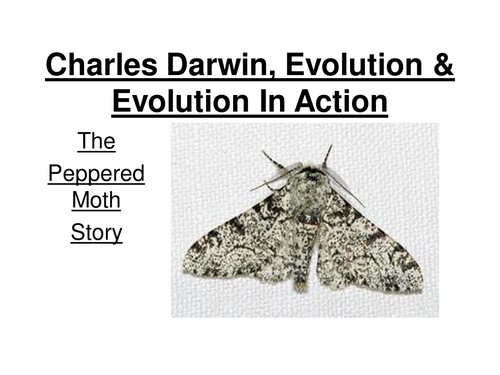 GCSE Biology - Evolution in action | Teaching Resources