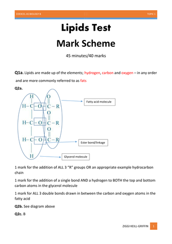 AS Level Biology - Lipids TEST and MARK SCHEME | Teaching Resources