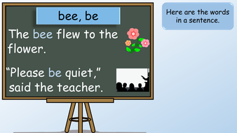 Homophones: Year 2 | Teaching Resources