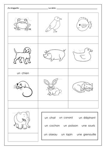 FRENCH - Animals - Les Animaux - Activity Booklet - Worksheets ...