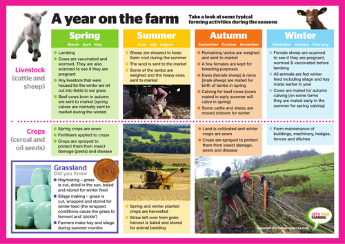 A year on the farm | Teaching Resources