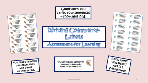 Assessment of Writing - Comprehensive ready made writing comments on ...