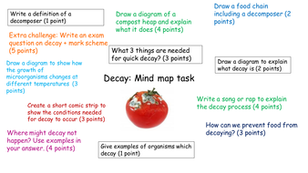 Decay | Teaching Resources