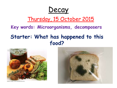 Decay | Teaching Resources