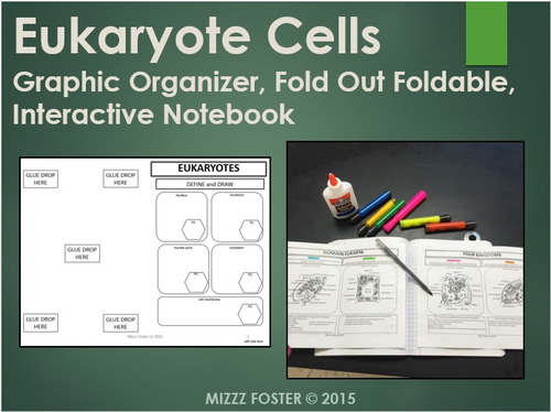 Eukaryote Cells: Graphic Organizer, Fold-Out Foldable, Interactive ...