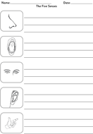 Year 1 Science Animals including humans: the body & 5 senses ...