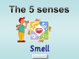Year 1 Science Animals including humans: the body & 5 senses ...