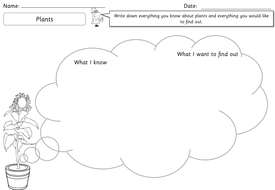Year 1 Science - Plants topic pack | Teaching Resources
