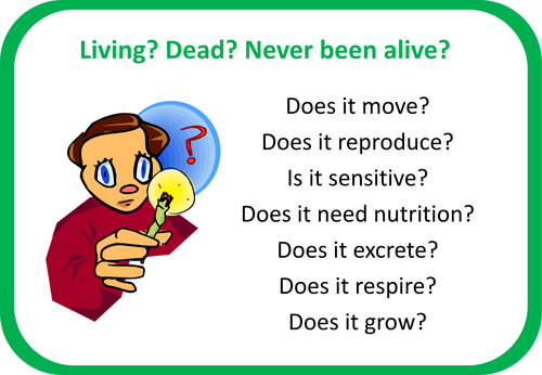 Year 2 Science - Living things resource pack - powerpoints, planning ...