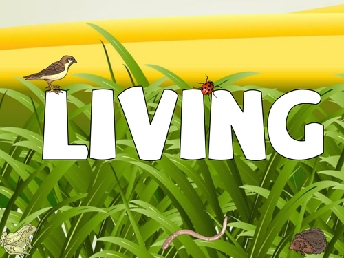 Year 2 Science - Living things resource pack - powerpoints, planning ...