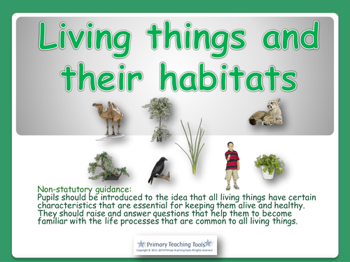 Year 2 Science - Living things resource pack - powerpoints, planning ...