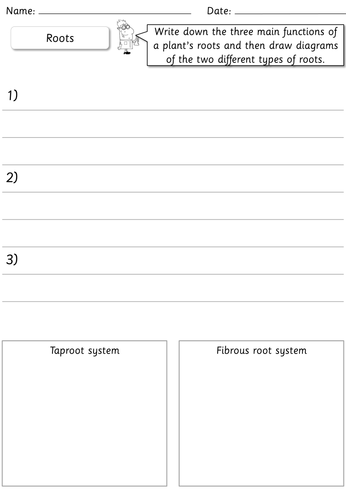 Year 3 science - Plants - powerpoints, worksheets, planning & display ...