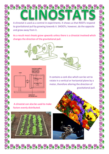 a clinostat | Teaching Resources