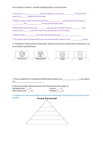 Year 6- Animals including humans COMPLETE unit of work | Teaching Resources
