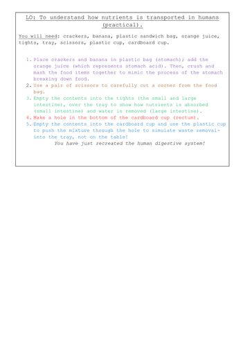 Year 6- Animals including humans COMPLETE unit of work | Teaching Resources