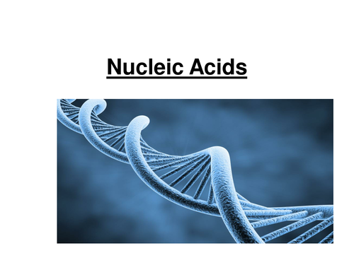 AS BIOLOGY - Nucleic Acids | Teaching Resources