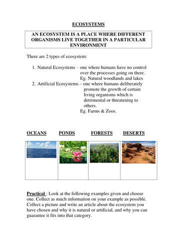 GCSE Biology - Ecosystem Keyterms /Definitions ppt, Fill In Sheet & W ...