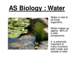 New AS BIOLOGY - Properties Of Water | Teaching Resources