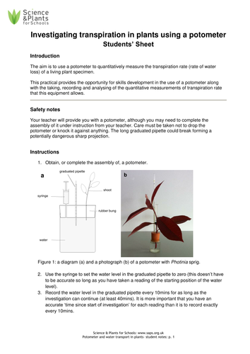 A-level set practicals - using a potometer | Teaching Resources