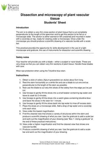 A-level set practicals - dissection and microscopy of a plant stem ...