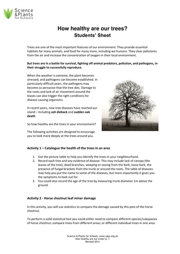 How healthy are your trees? | Teaching Resources