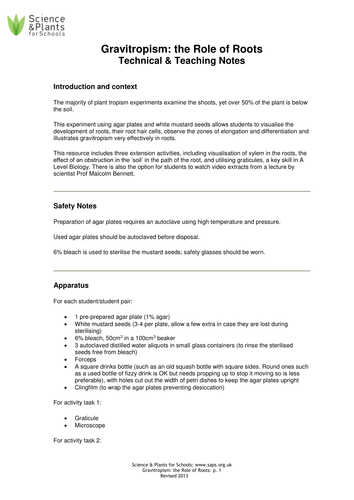 Gravitropism at post-16 - the Role of Roots | Teaching Resources