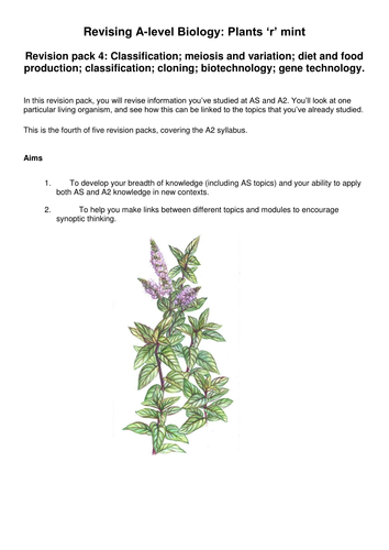 Revising A-level Biology: Plants 'R' Mint | Teaching Resources