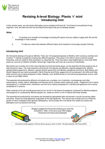 Revising A-level Biology: Plants 'R' Mint | Teaching Resources