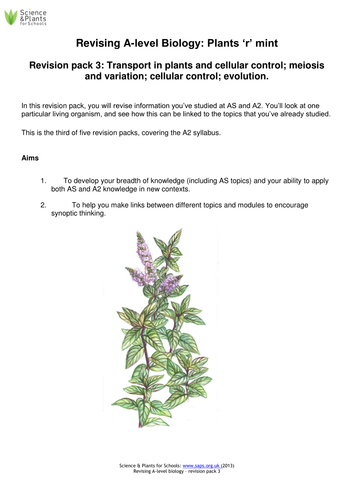 Revising A-level Biology: Plants 'R' Mint | Teaching Resources
