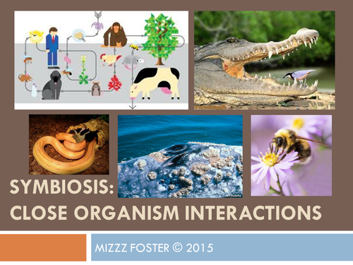 SYMBIOSIS Bundle: Power Point, Symbiosis Quest Power Point, Symbiosis ...
