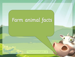 EYFS / KS1 Farm animal topic: powerpoints, displays and role play pack ...