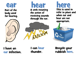 Homophones Posters | Teaching Resources