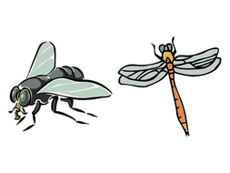 Minibeasts / Insects for EYFS / KS1: PowerPoint lessons, activities and ...