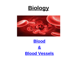 GCSE - Blood and Blood Vessels | Teaching Resources