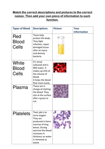 GCSE - Blood and Blood Vessels | Teaching Resources