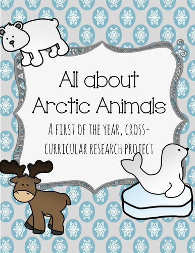 All About Arctic Animals: A Cross-Curricular Project | Teaching Resources