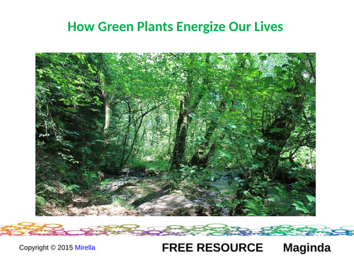 How Green Plants Energize Our Lives | Teaching Resources