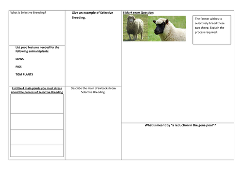 GCSE Biology - Selective Breeding & Cloning Worksheets | Teaching Resources