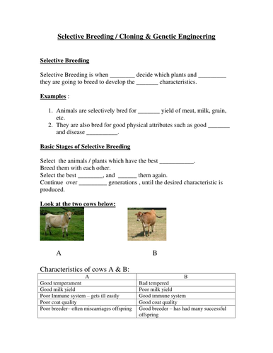GCSE Biology - Selective Breeding & Cloning Worksheets | Teaching Resources GCSE Biology - Selective Breeding & Cloning Worksheets | Teaching Resources